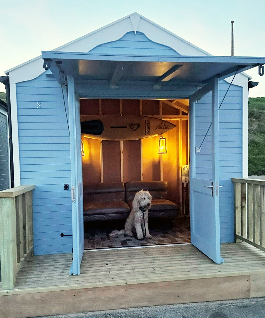The rise of the 'Hut dog!' A third more owners are taking their dogs o ...